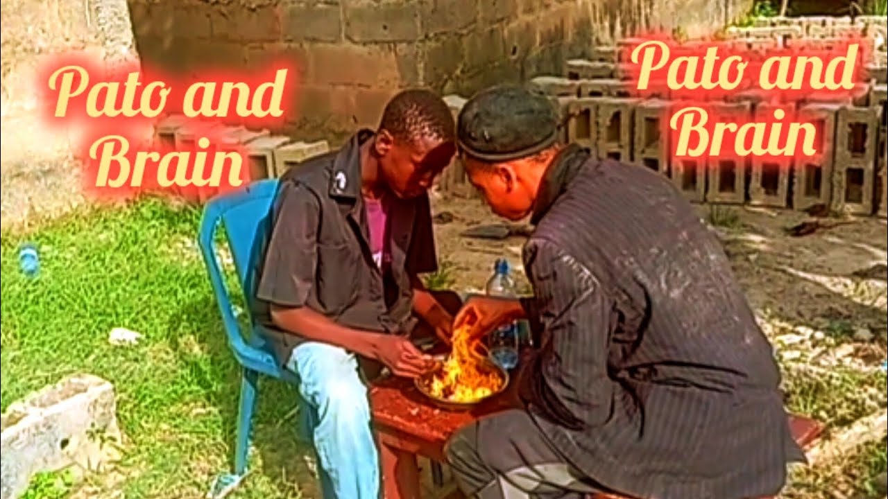 pato and brain 🤣🤣🤣 #comedy #funnycomedy - YouTube