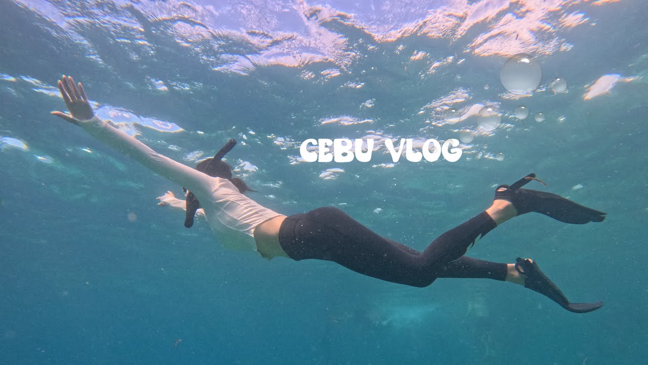 Vlog 2박5일 필리핀 Cebu 여행 브이로그 1편🏝️•필리핀 여행 꿀팁•오슬롭 고래상어•캐녀닝•p의 자유여행•아얄라몰•맛집 소개ㅣcebu Travel Vlog 🇵🇭