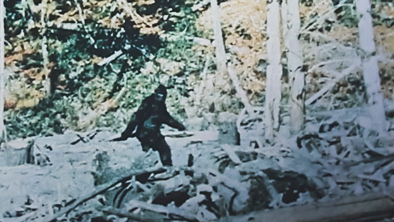 Bigfoot - Roger Patterson Film - 1080p - YouTube