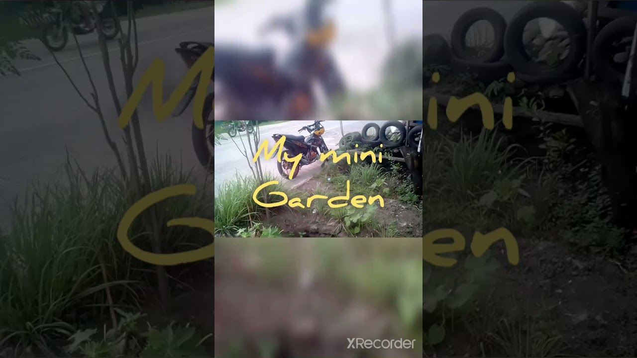 Buti pa Ang aso ko dalawa pa ang chicks/😍😍 Jonathan grafe/October 1/2021 - YouTube