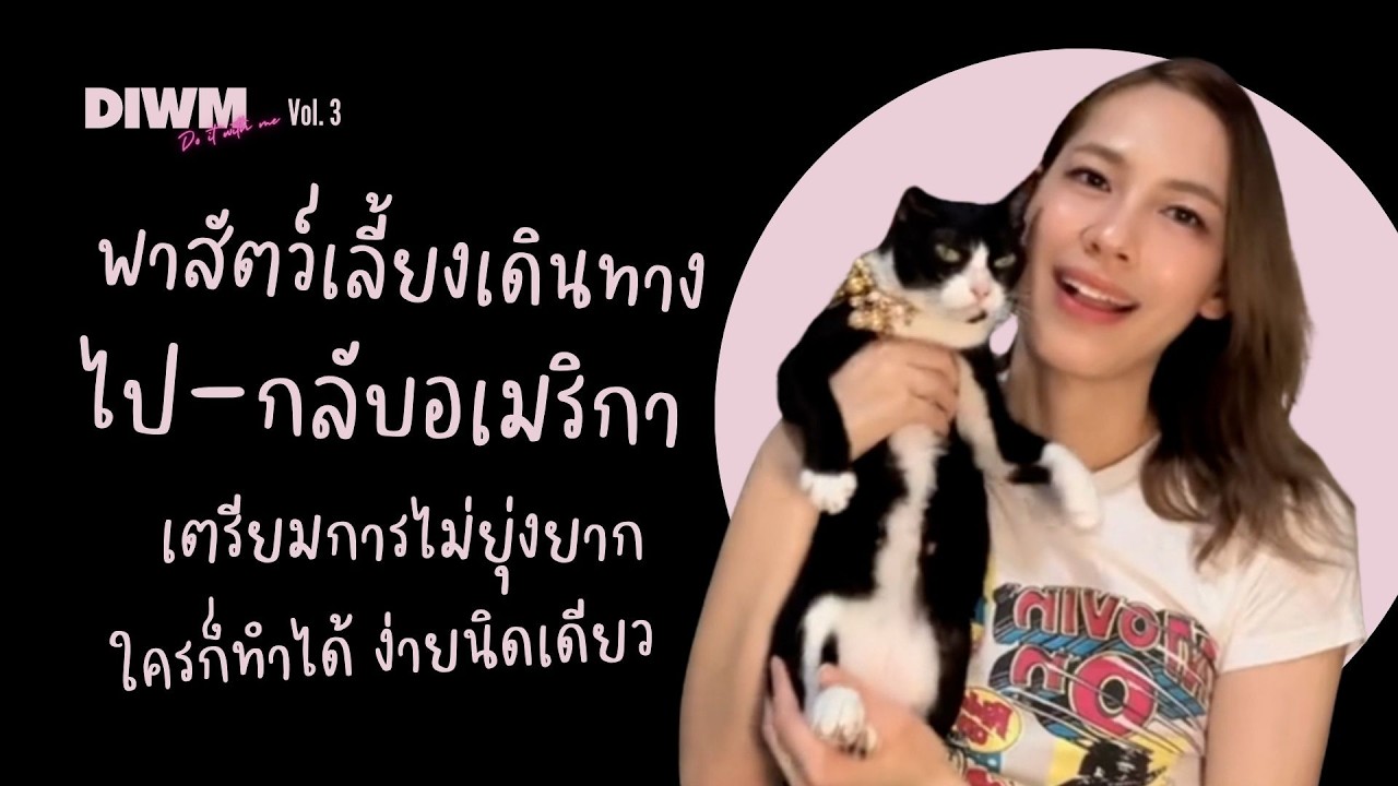 พาแมว #ข้ามโลก ไป-กลับ USA ทำเองทุกขั้นตอน พร้อมประสบการณ์บนเครื่อง ...