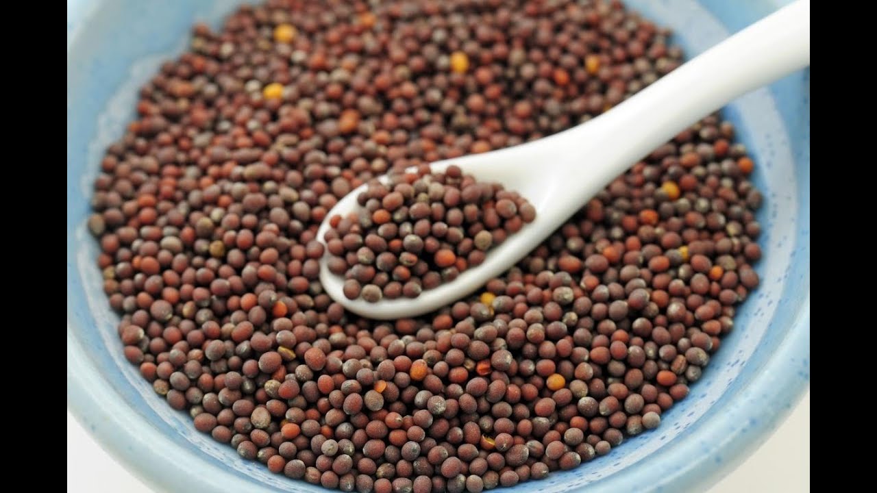 USE MUSTARD SEED FOR PROSPERITY - PROPHET MOSES, GREAT POWER MINISTRY ...
