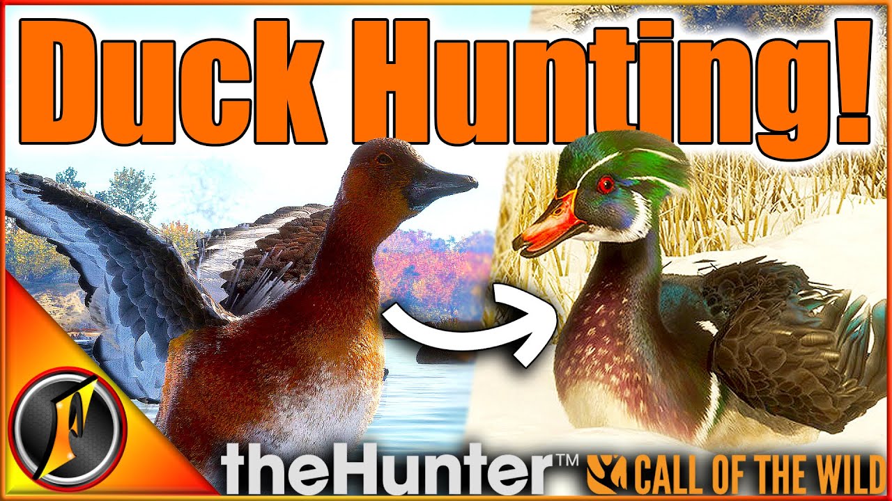 Waterfowl Hunting to Prepare for Wood Ducks in theHunter Call of the ...