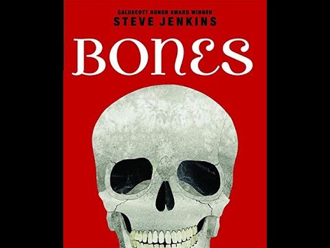 Read Aloud: Bones - Skeletons and How They Work - YouTube