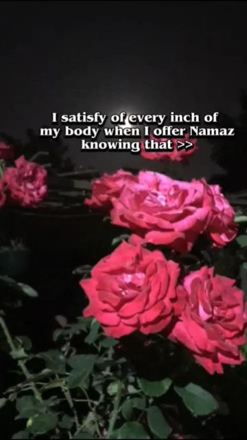 I satisfy of every inch of my body ️ #islamicvideo #muslimah # ...