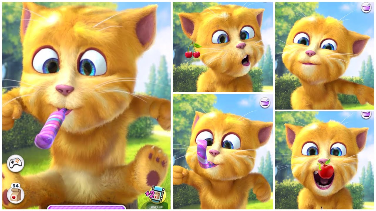 Talking Ginger - YouTube