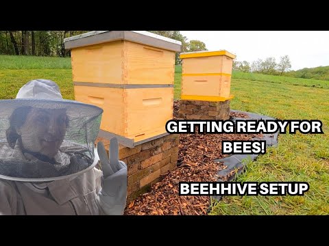 Getting Ready for BEES! | Beehive Setup - YouTube