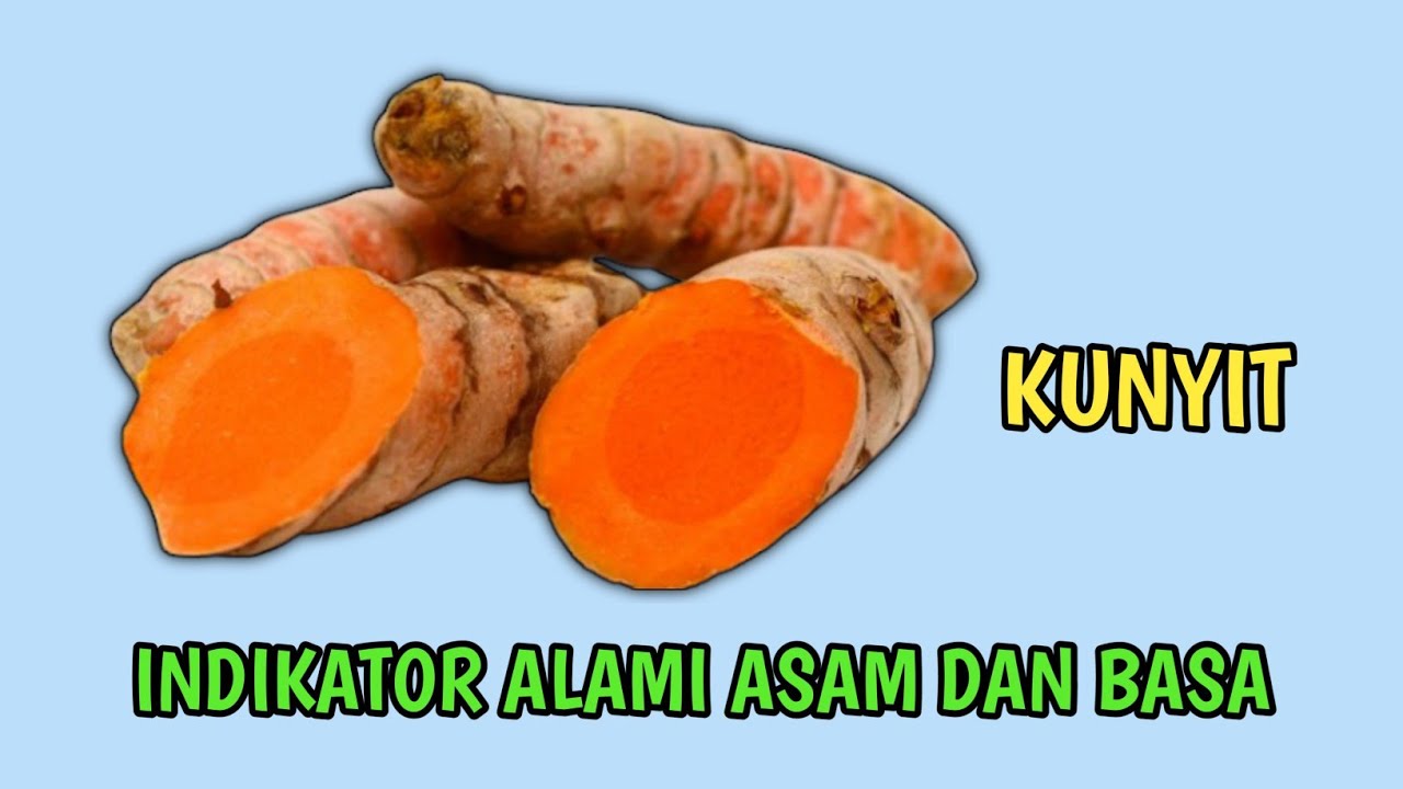 Indikator Alami Asam dan Basa Kunyit - SMA Negeri 2 Lingga - YouTube