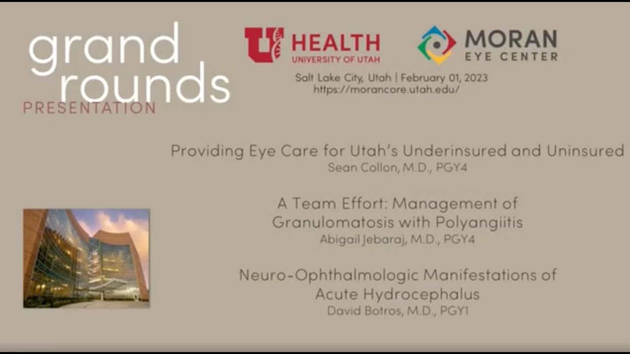 Grand Rounds Presentations: Providing Eye Care; A Team Effort; Acute ...