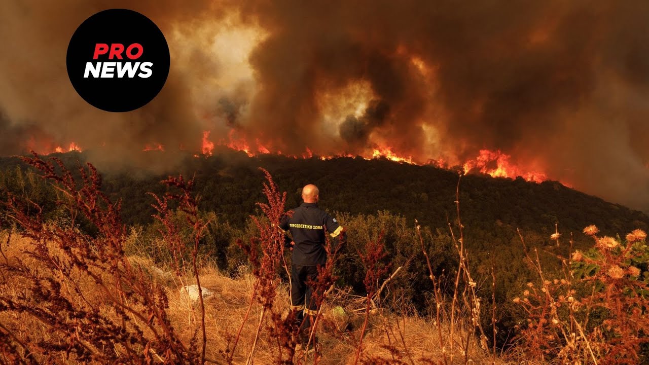 Οι επιστήμονες εκθέτουν την κυβέρνηση για τις καταστροφικές πυρκαγιές ...