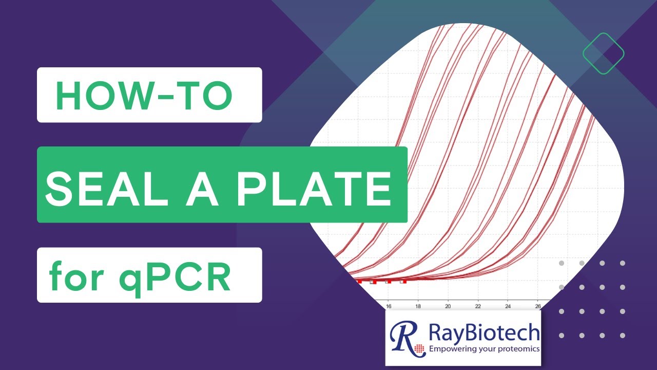 Sealing the plate [qPCR] - YouTube