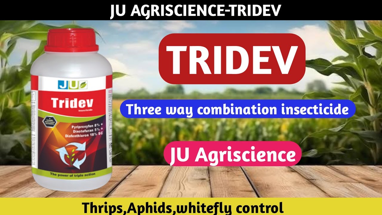 JU TRIDEV INSECTICIDE | Tridev insecticide how to use | JU Agriscience ...