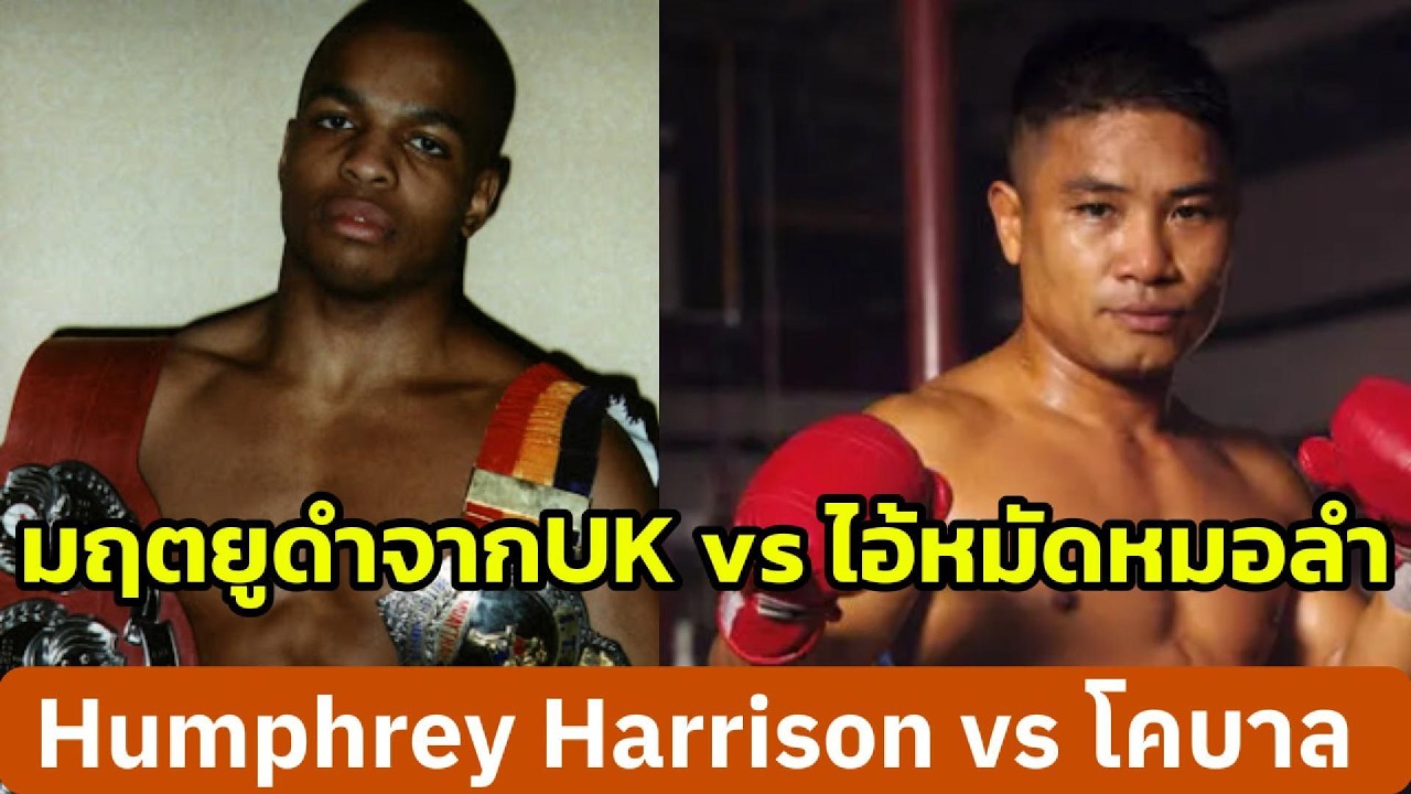 มฤตยูดำUKท้าชนหมัดหมอลำ โคบาล ลูกเจ้าแม่ไทรทอง vs Humphrey Harrison ...