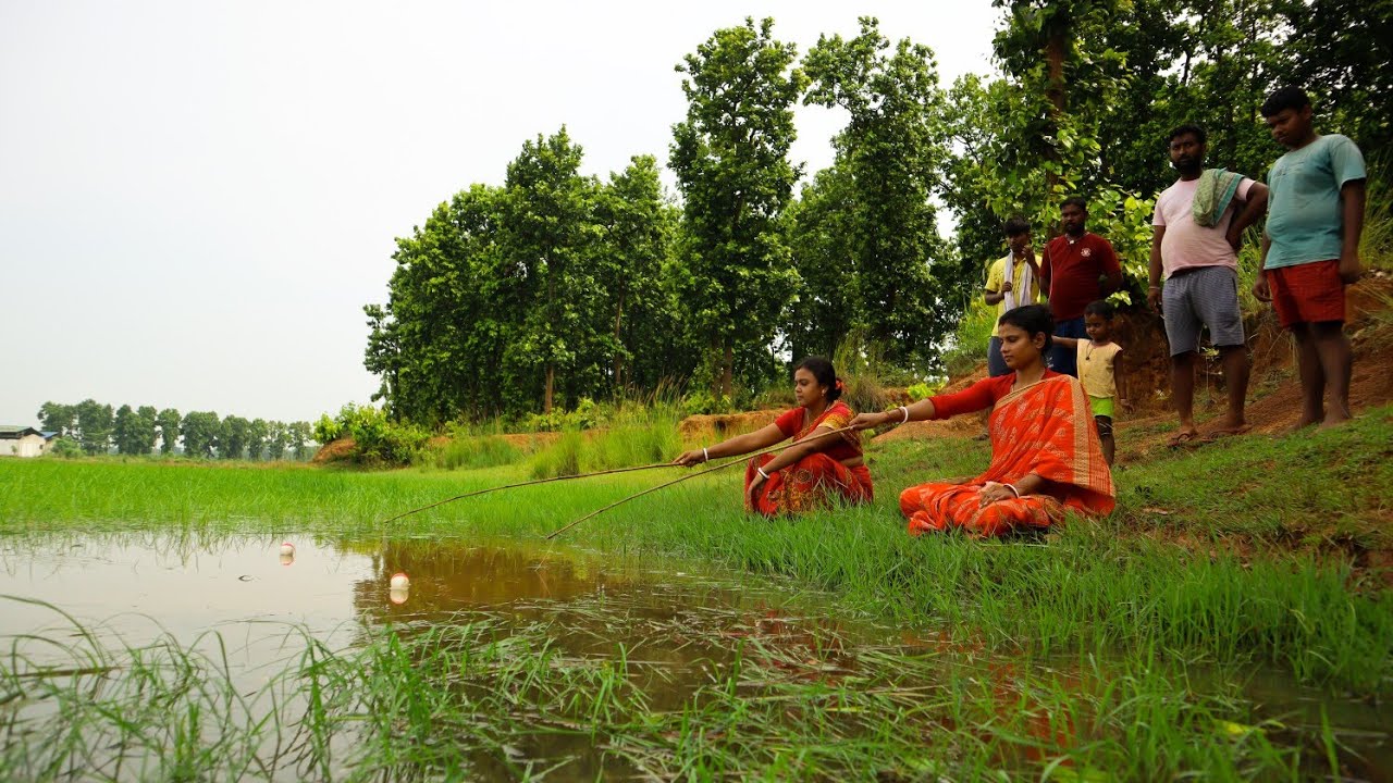 Fishing video | Hook Fishing in paddy field | lady caught fish in the ...