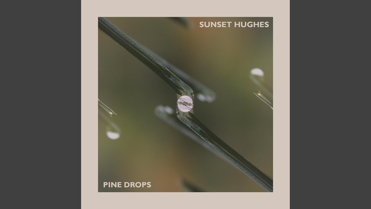 Pine Drops - YouTube