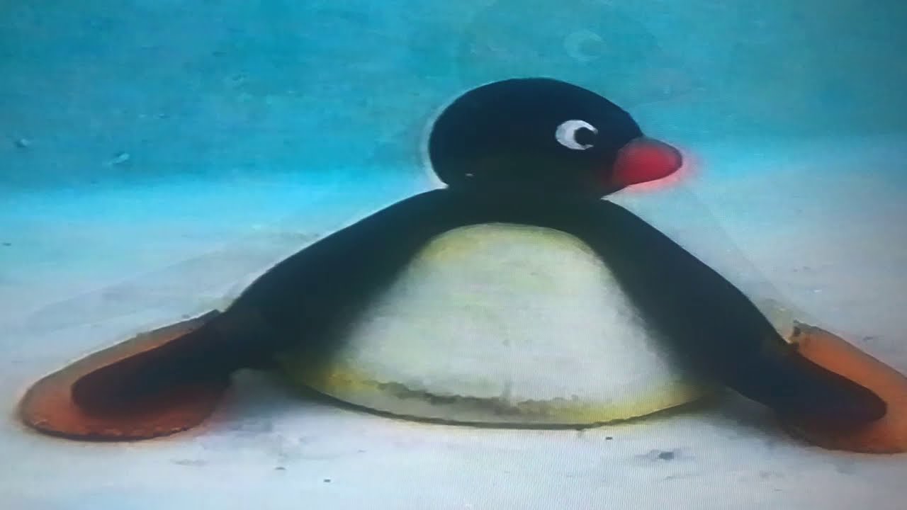 Pingu looks after the egg woodpeckers from space song - YouTube
