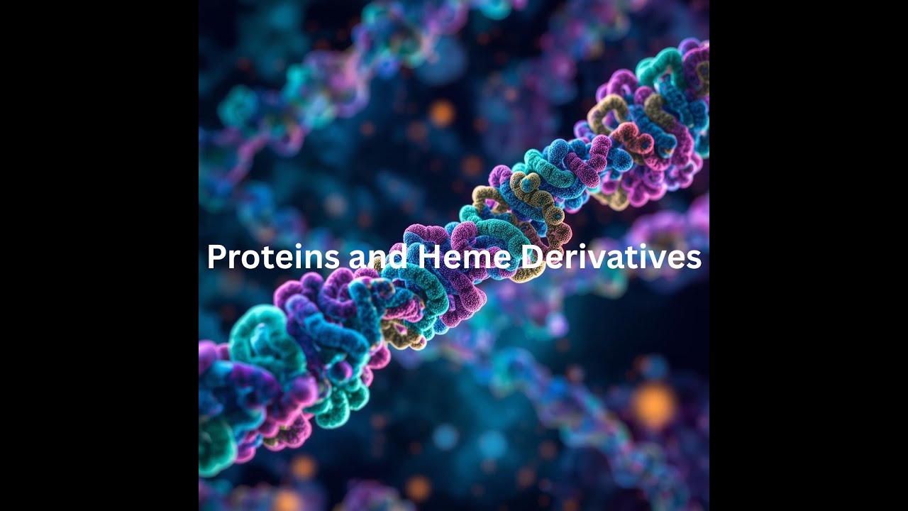 Proteins and Heme Derivatives - YouTube