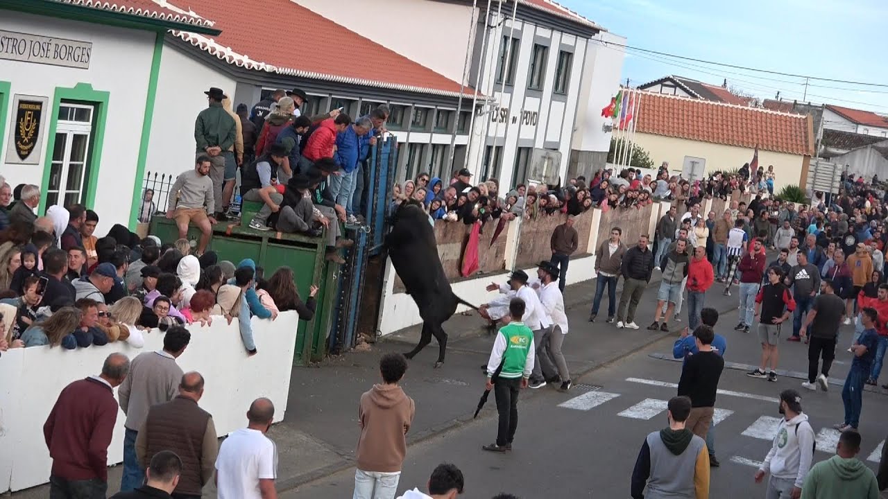 ARRAIAL DAS FONTINHAS & TOURADA - YouTube