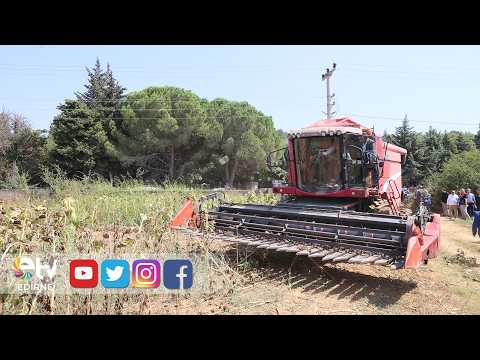 TARIMDA BEREKET YILI ÜRETİMDE REKOR SEVİYELER