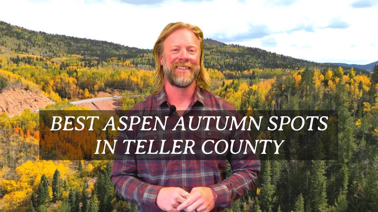 Best Aspen Autumn Spots in Teller County - YouTube