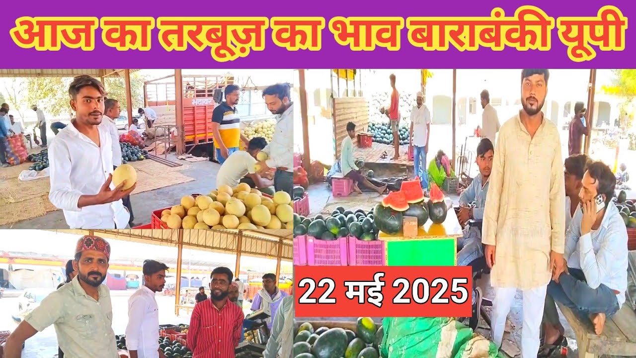 आज का तरबूज़ का भाव 22 मई 2025🍉Aaj ka tarbuj ka bhav🍉tarbuj rate today🍉 ...