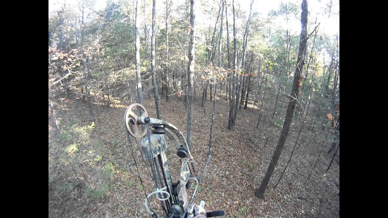 GoPro 960 Bow hunting Whitetail - YouTube