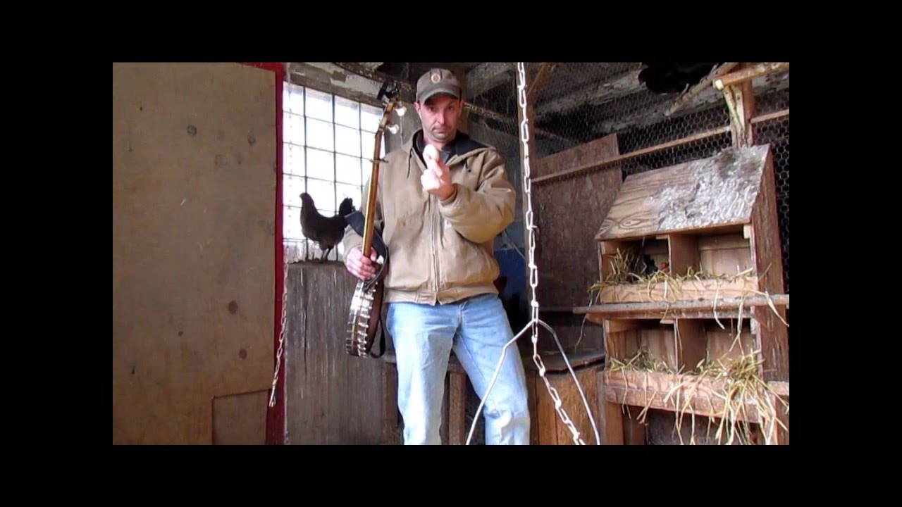 The real chicken reel - YouTube