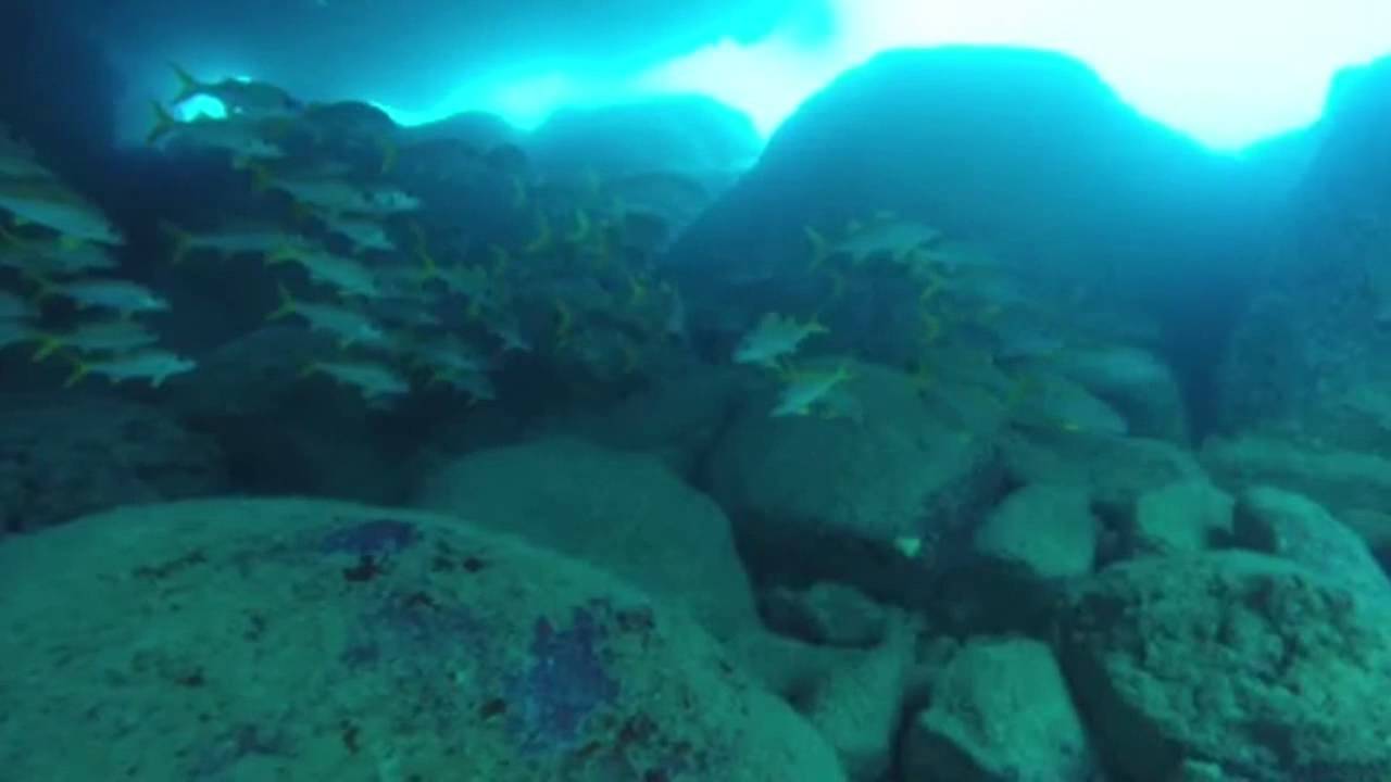 Swimming in a lava tube cave, Oahu, Hawaii - YouTube