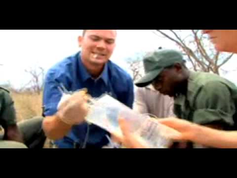 Wild Recon Open and Promo - YouTube