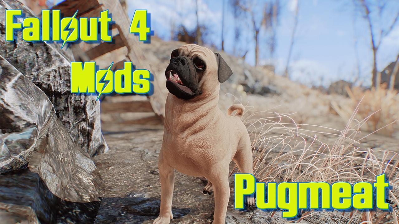 Fallout 4 Mods - Pugmeat - YouTube