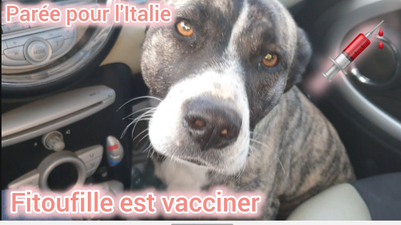 Le départ approche plus que 3 jours 🇮🇹🚚 - YouTube