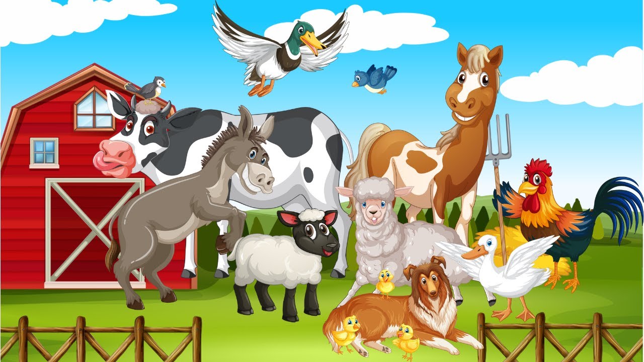 The Animals On The Farm | Farm Animals for Kids | Learn all about these ...