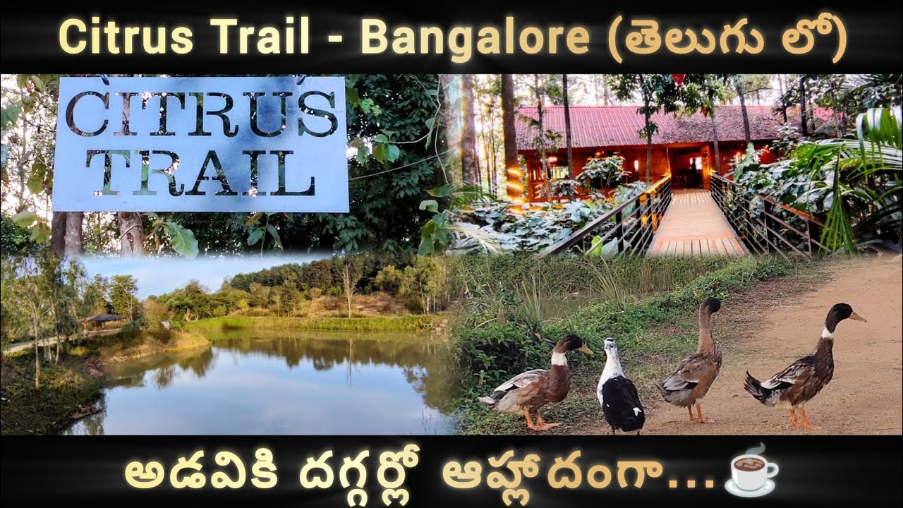 Citrus Trail - Farm & Kitchen | Bangalore | Telugu | తెలుగులో | Near ...