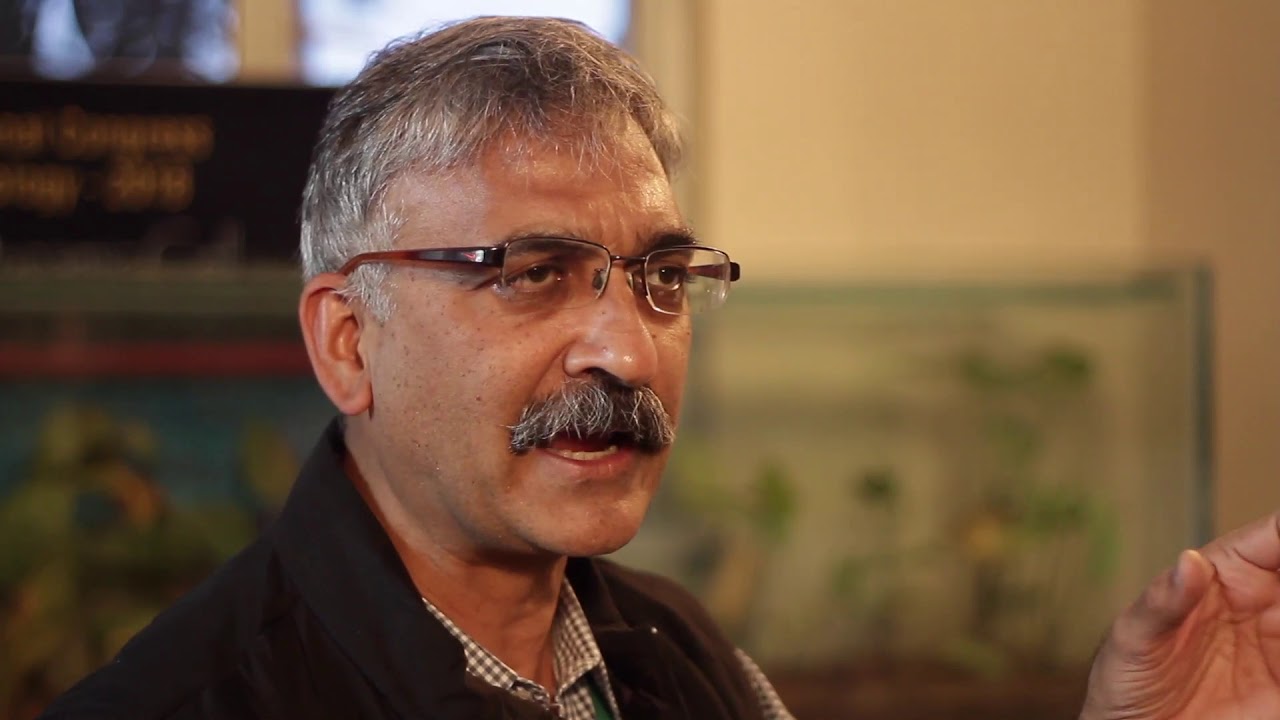Unexpected findings are what scientists wait for - Satyajit Mayor with ...