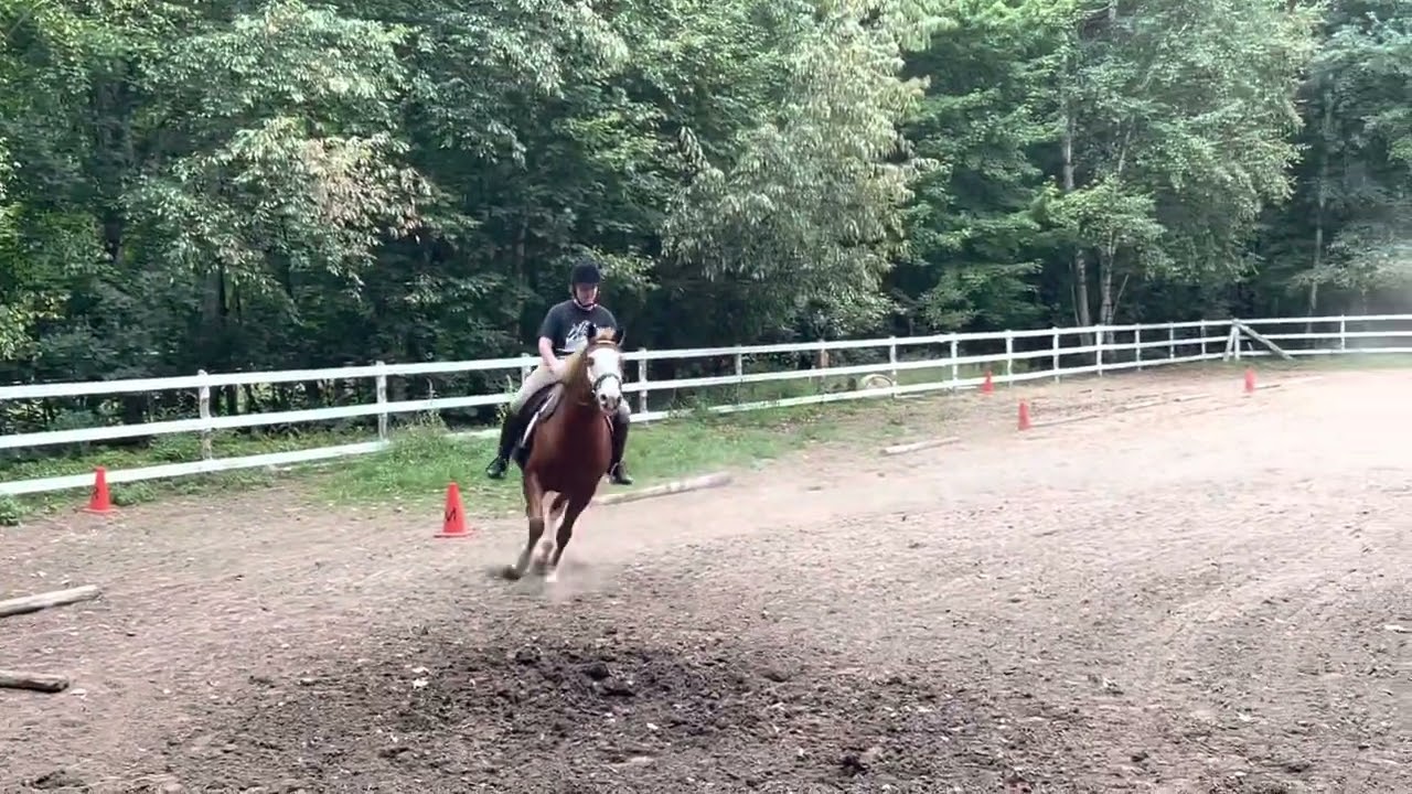 Riley & Kennedy Introductory Level Test A - YouTube