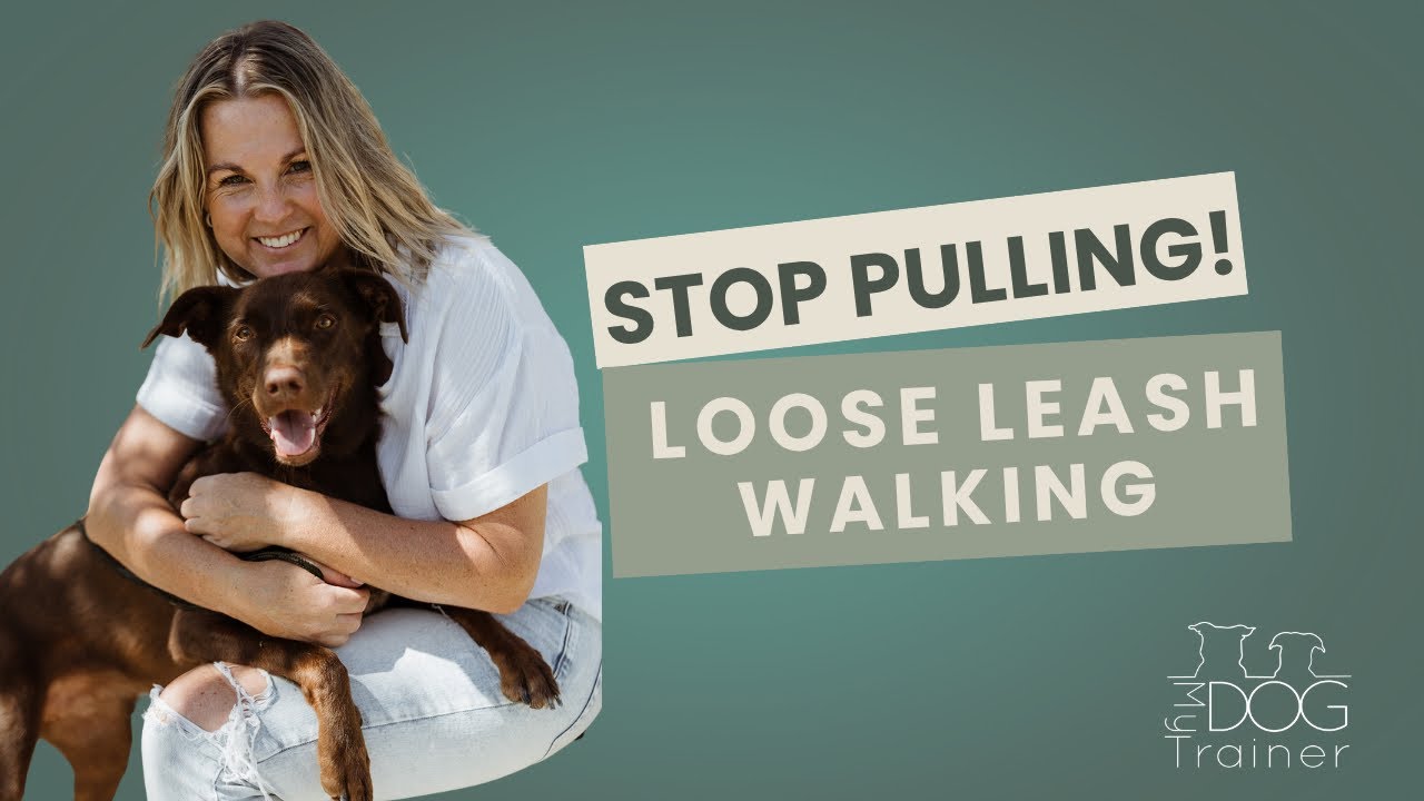 Stop Lead Pulling! Teach Your Dog to Walk Nicely on Lead - easily ...
