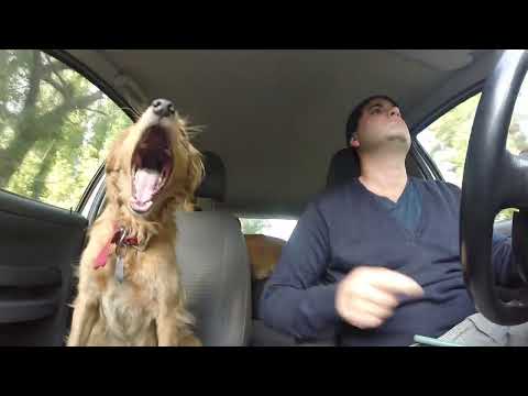 Geek Stink Breath Carpool Karaoke