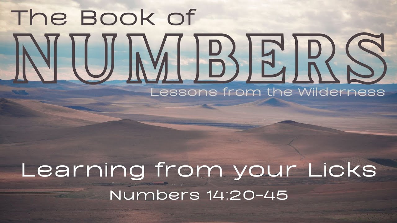 Numbers 14:20-45 | Learning from your Licks - YouTube