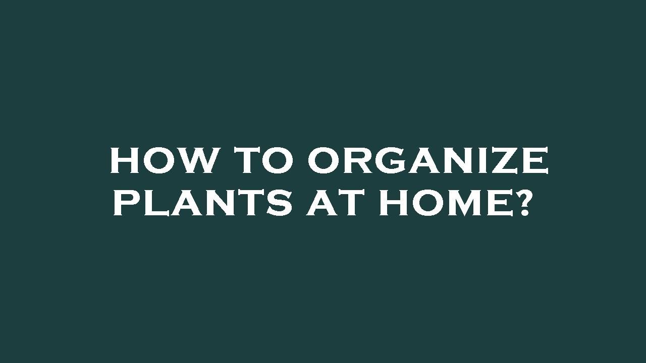 How to organize plants at home? - YouTube