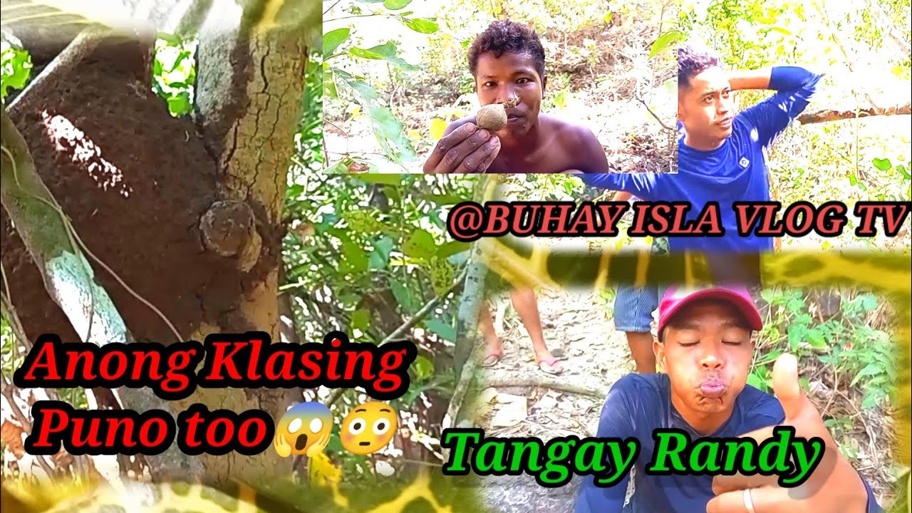 @BUHAY ISLA VLOG TV @ PRIMITIVE ISLANDER??Nag pamiryinda si tangay jack ...