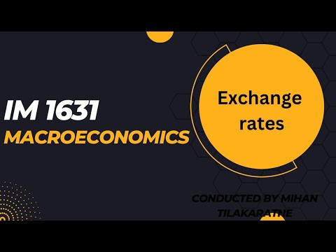 Macroeconomics exchange rate lesson(part 1) - YouTube