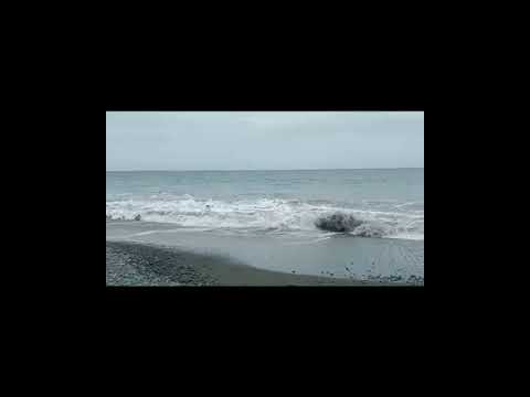 Dewi purnama sari, description my village