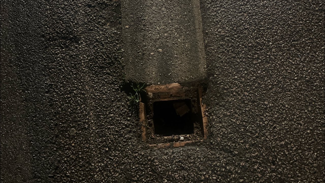 BEWARE OF MAKING FAKE CLAIMS TO GET A DISABILITY BADGE ETC…. - YouTube