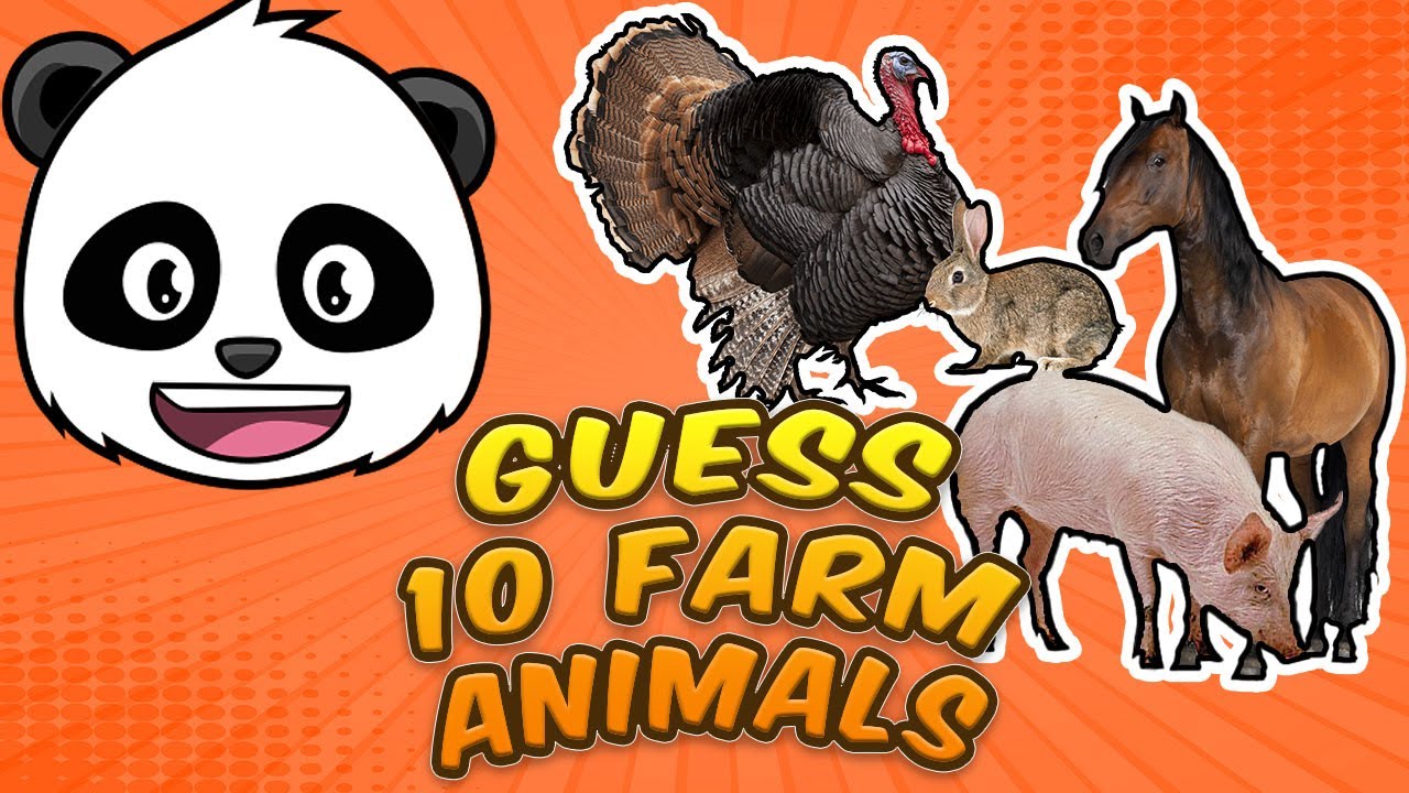 🐄🐔 Guess 10 Farm Animals! 🐷🐮 Play with Pandolo 🐼 - YouTube
