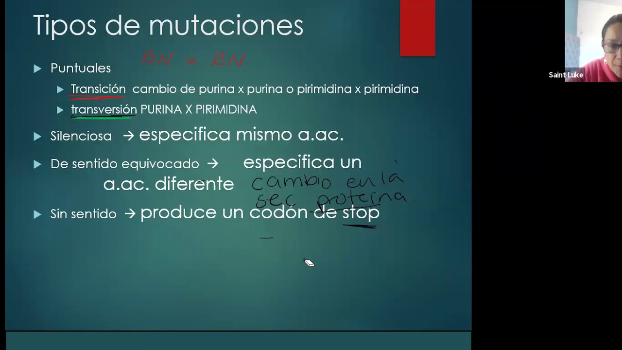 Mutaciones y mutágenos, agentes mutagénicos. - YouTube