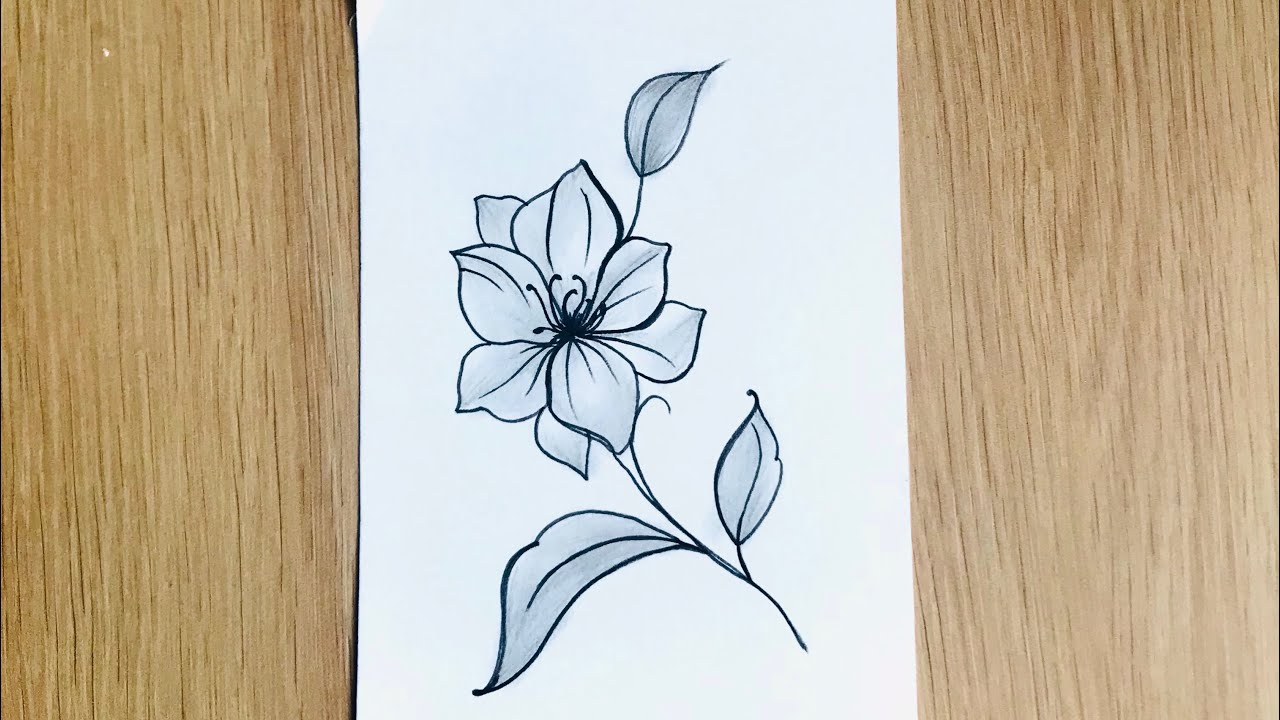 How to draw simple flower 🌸 | Draw Flower - YouTube