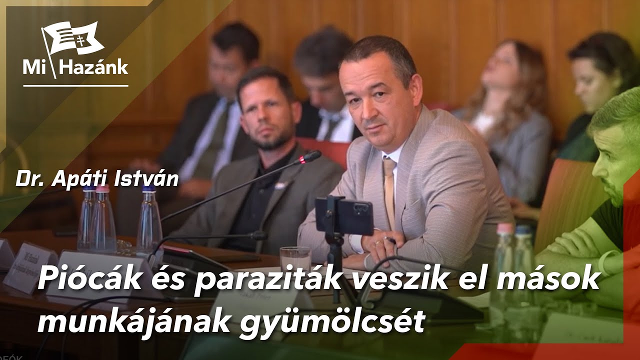 Piócák és paraziták veszik el mások munkájának gyümölcsét - YouTube