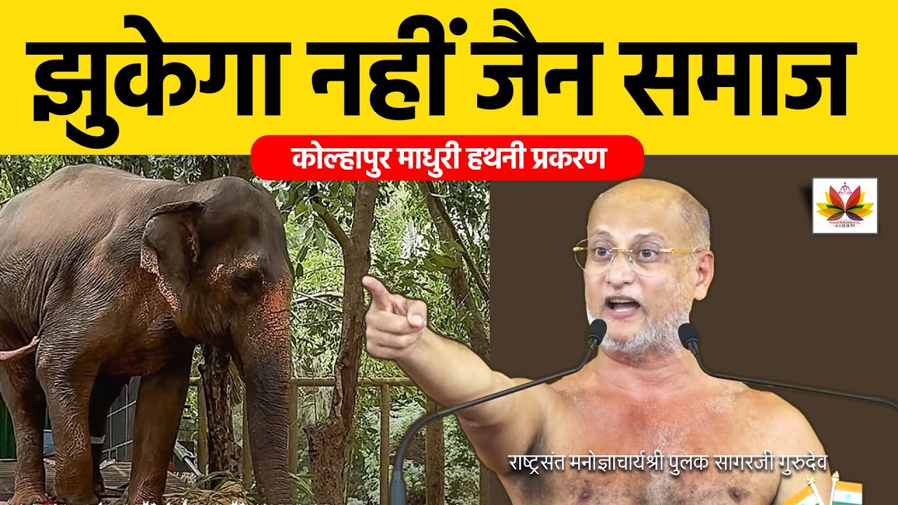 जैन मठ की हथनी माधुरी और वनतारा पर क्या बोले #जैन संत पुलक सागर ज़रूर ...