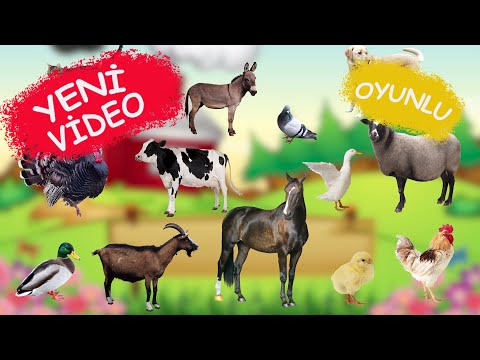 🐄 🐥 ÇİFTLİK HAYVANLARINI ÖĞRENİYORUZ  🐎  | Çocuklar İçin - Okul Öncesi Eğitim