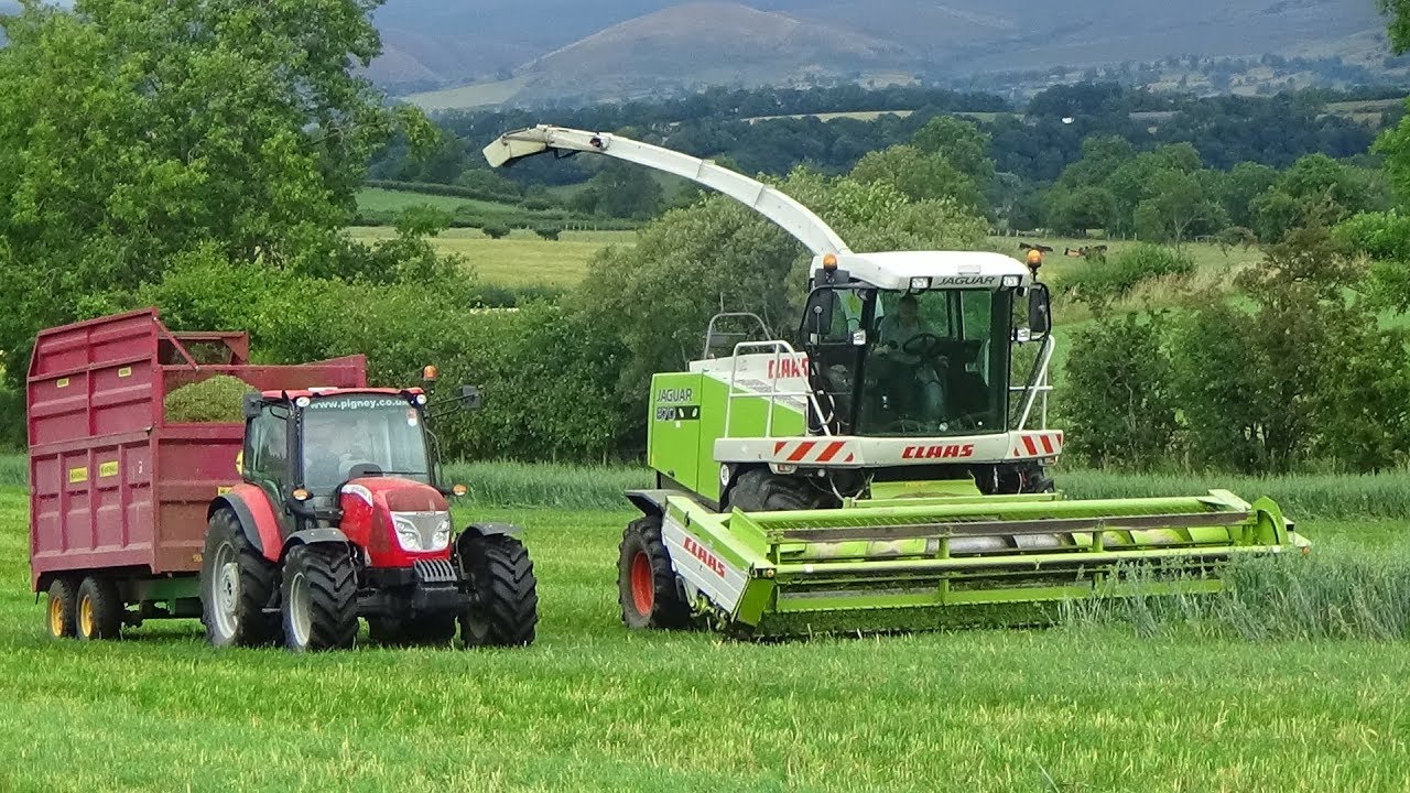 Wholecrop Oats & Barley for Silage with Claas Jaguar 870, McCormick ...
